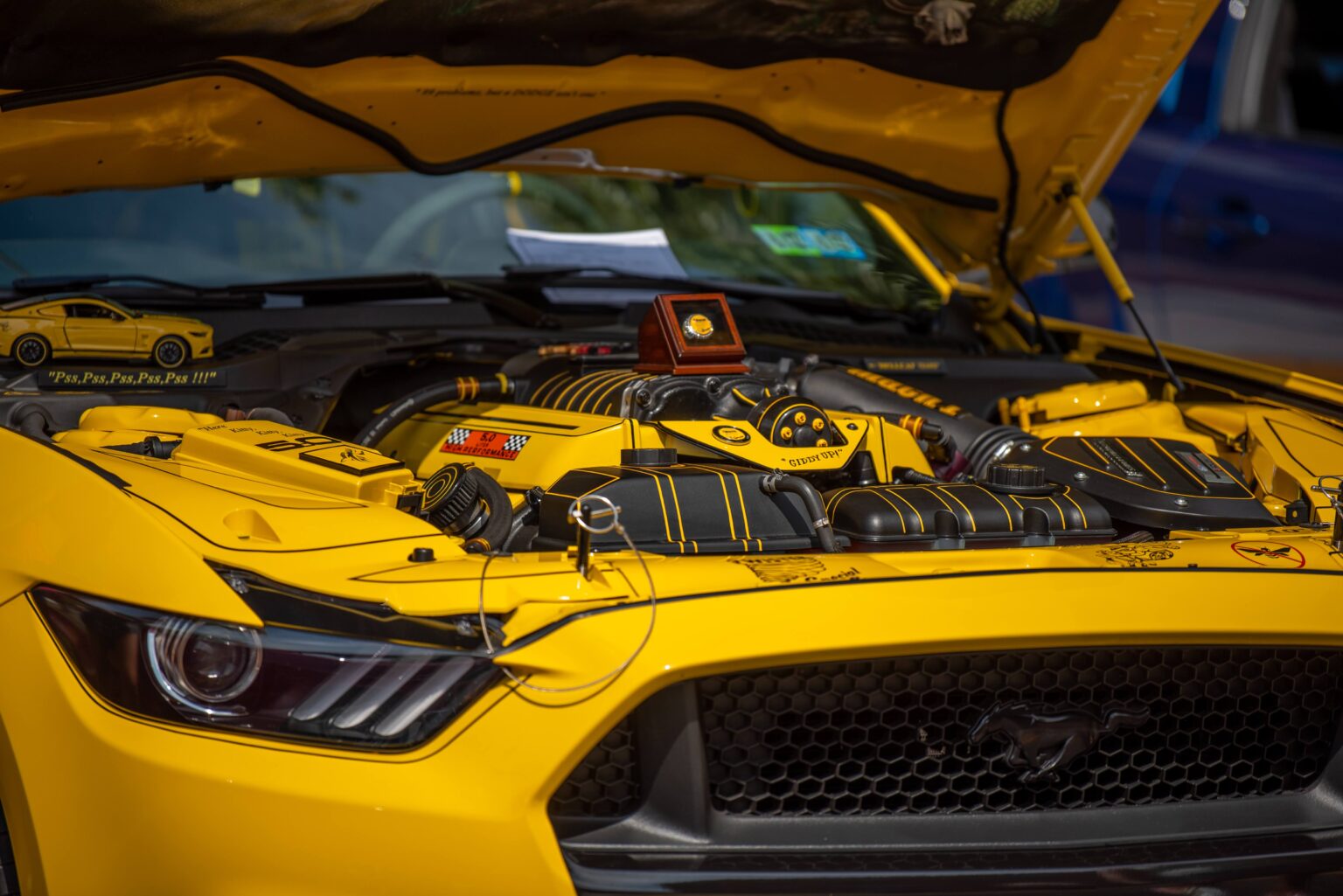 Car Show Photo Gallery | Woodbury Car Show